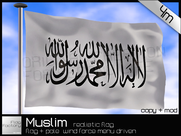 Real Islamic Flag